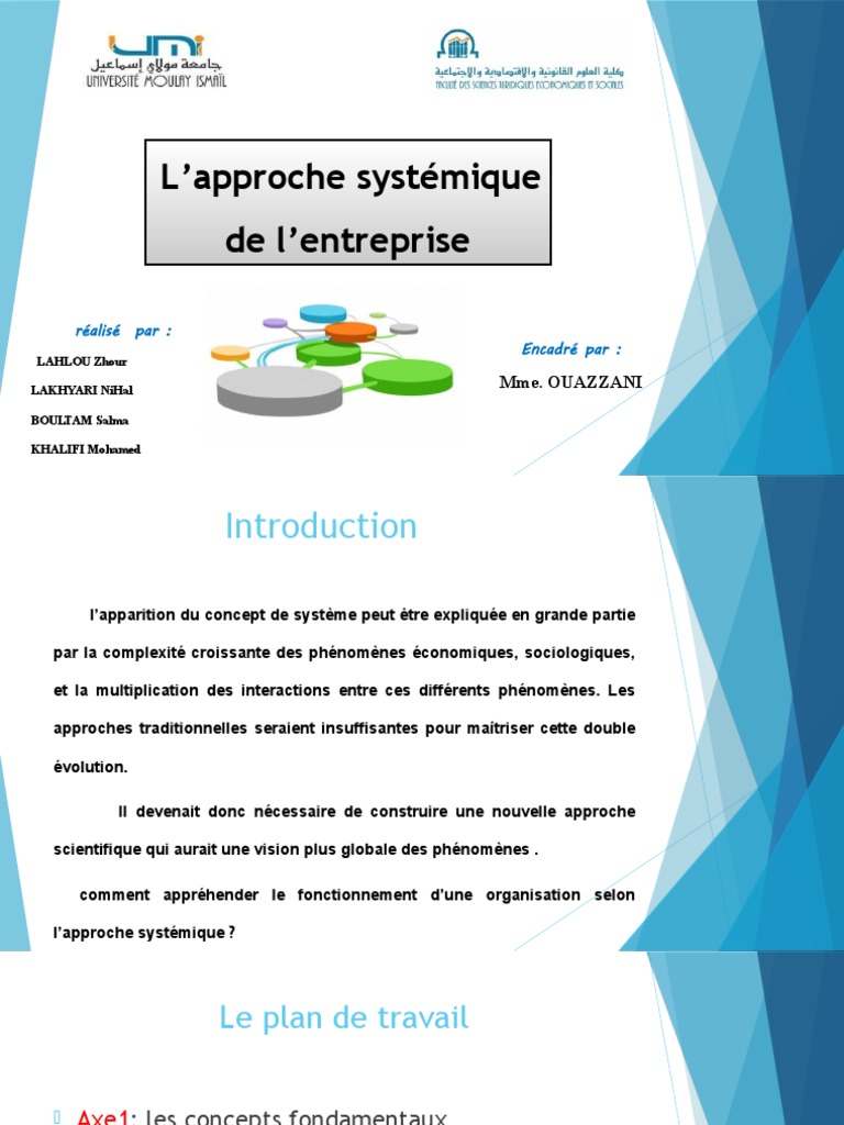 L'approche Systemique de L'entreprise | PDF | Rétroaction positive ...