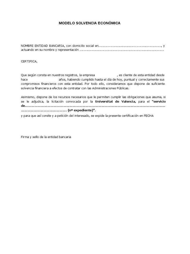 Modelo Solvencia Economica | PDF