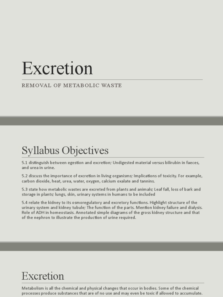 Excretion: Removal of Metabolic Waste | PDF | Excretion | Kidney