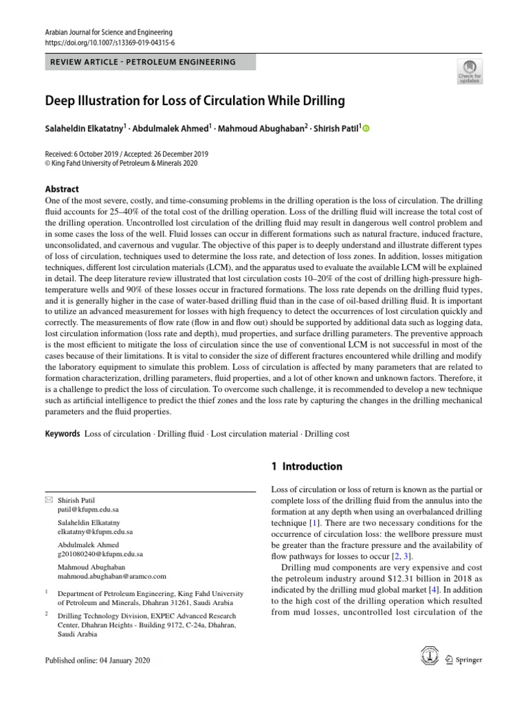 Deep Illustration For Loss of Circulation While Drilling | PDF | Oil ...