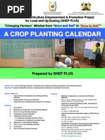 Cabbage Production JICA | PDF | Plant Nursery | Cabbage