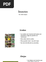 Insectos-Tarjetas para Niños | PDF