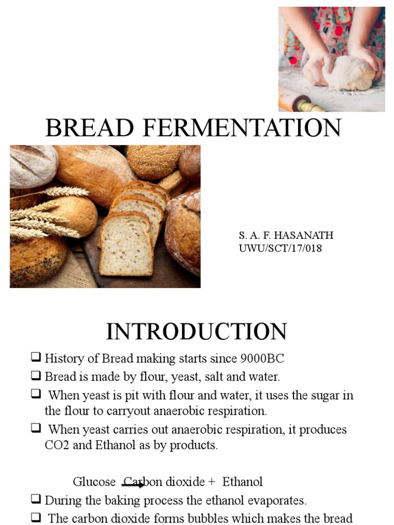Bread Fermentation: S. A. F. Hasanath UWU/SCT/17/018 | PDF | Yeast | Breads