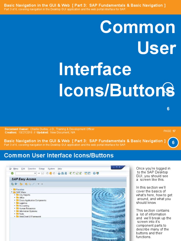 SAP Basic Nav | PDF | Graphical User Interfaces | Icon (Computing)