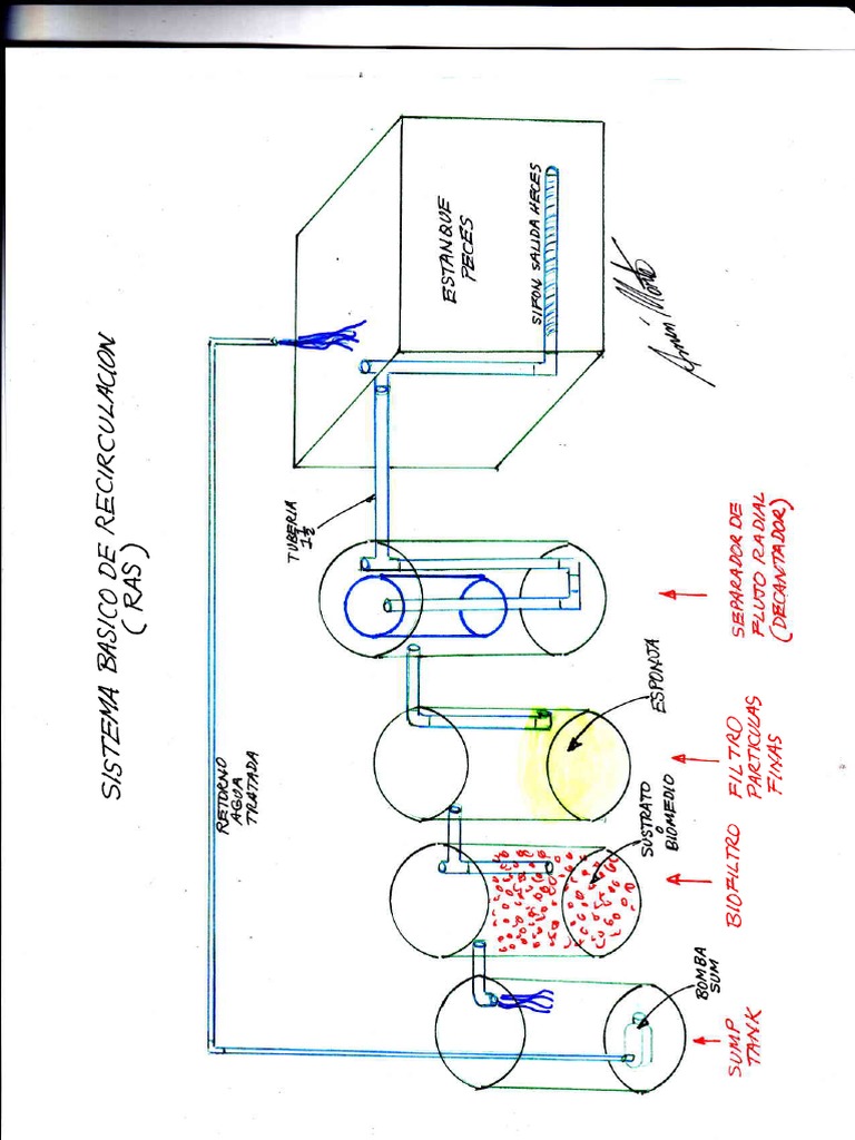 Diagrama de Un Sistema Ras | PDF