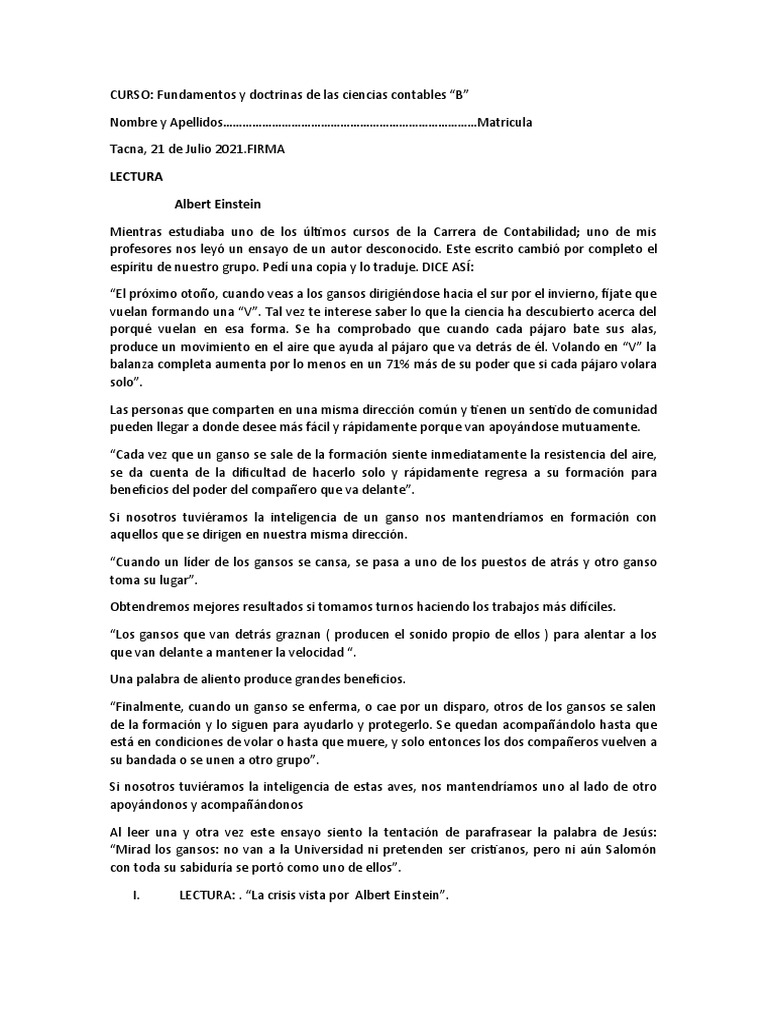 LECTURA Albert Einstein | PDF