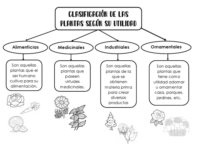 Mapa Las Plantas | PDF