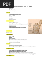 Sistema Hexaxial de Bailey | PDF | Electrocardiografia | Corazón