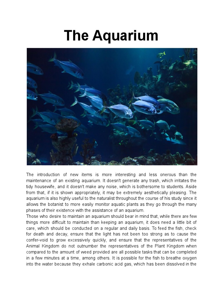 The Aquarium | PDF | Home & Garden