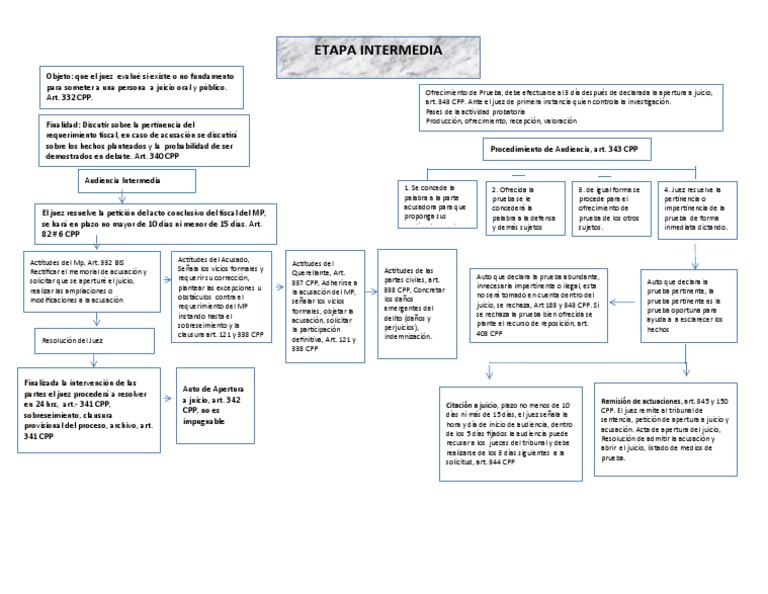 Esquema de Etapa Intermedia | PDF | Derecho penal | Ley común