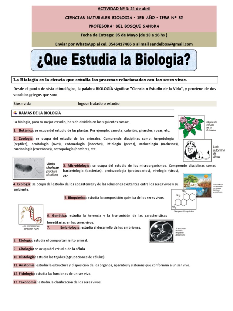 Actividad Nº3 Biologia y Sus Ramas | PDF | Biología Celular | Biología
