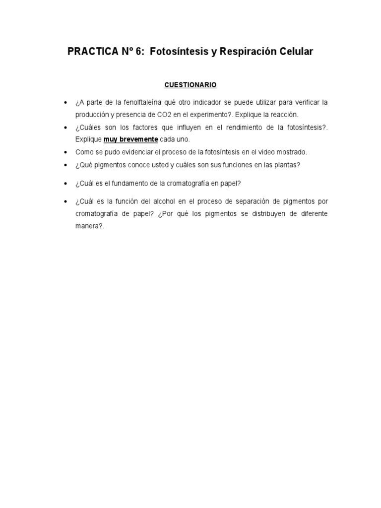 Cuestionario - P6 - Respiración Celular y Fotosíntesis | PDF