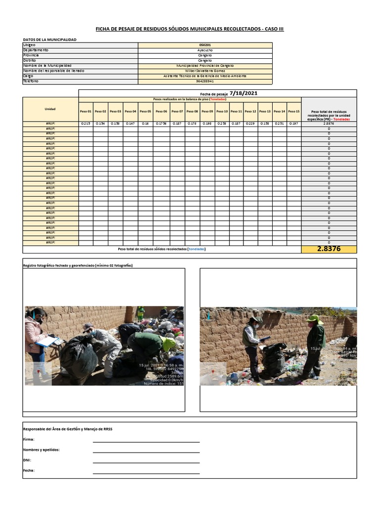 Ficha de Pesaje | PDF