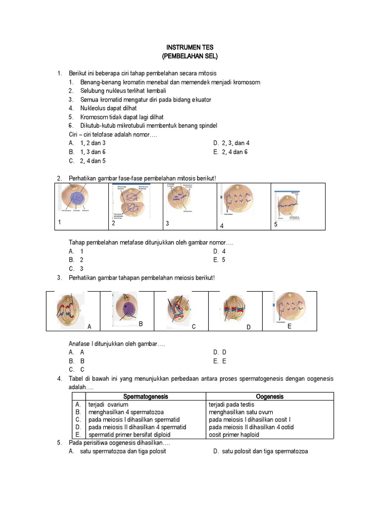 Soal Pembelahan Sel | PDF