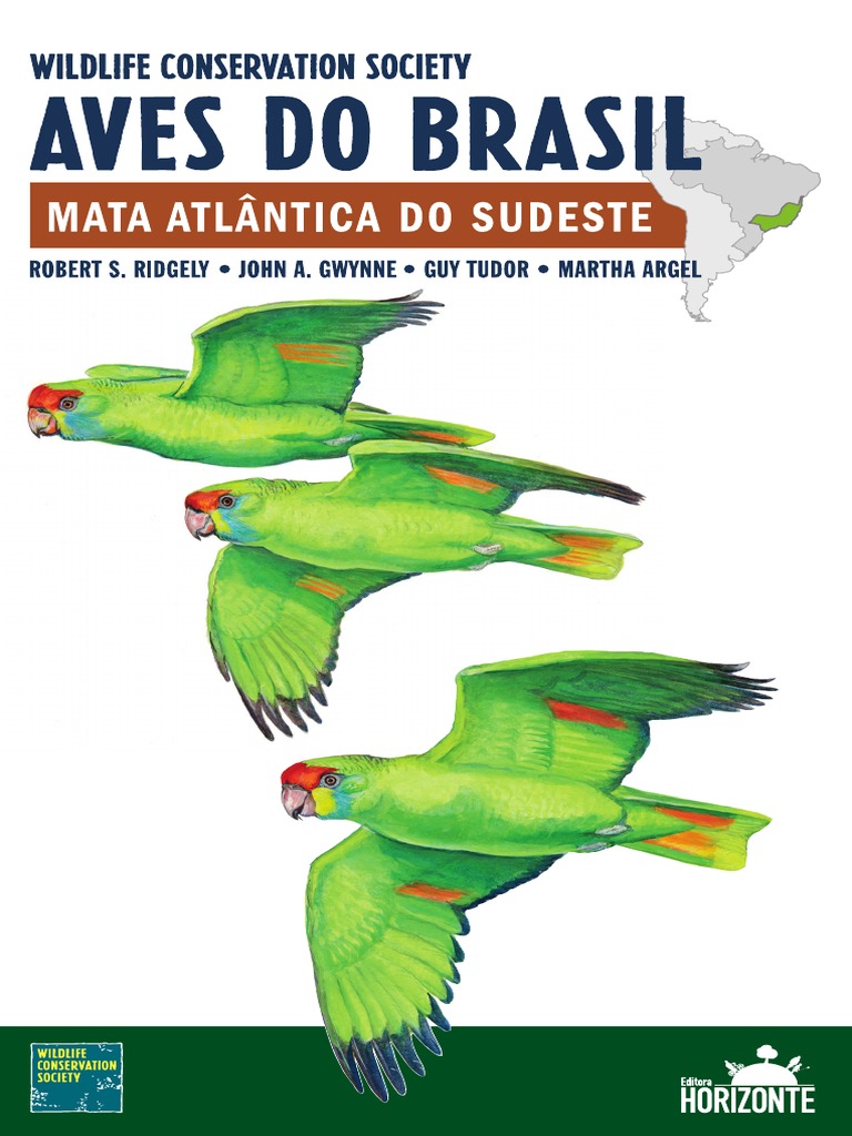 Guia Aves Da Mata Atlantica Do Sudeste B Pdf Mangue Aves