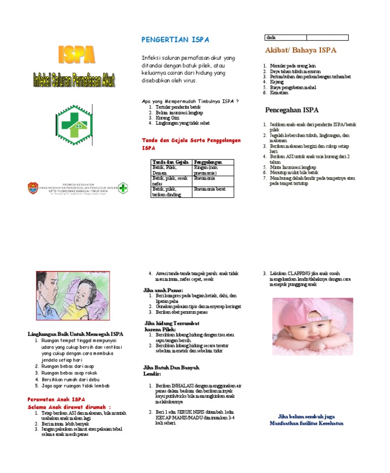 Leaflet Ispa BTR | PDF