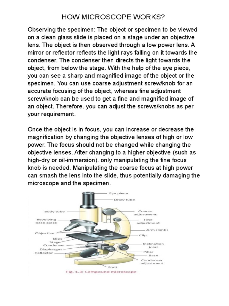 How Did The Microscope Works | PDF