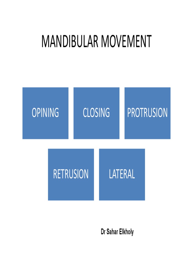 Mandibular Movement | PDF | Human Head And Neck | Skeletal System