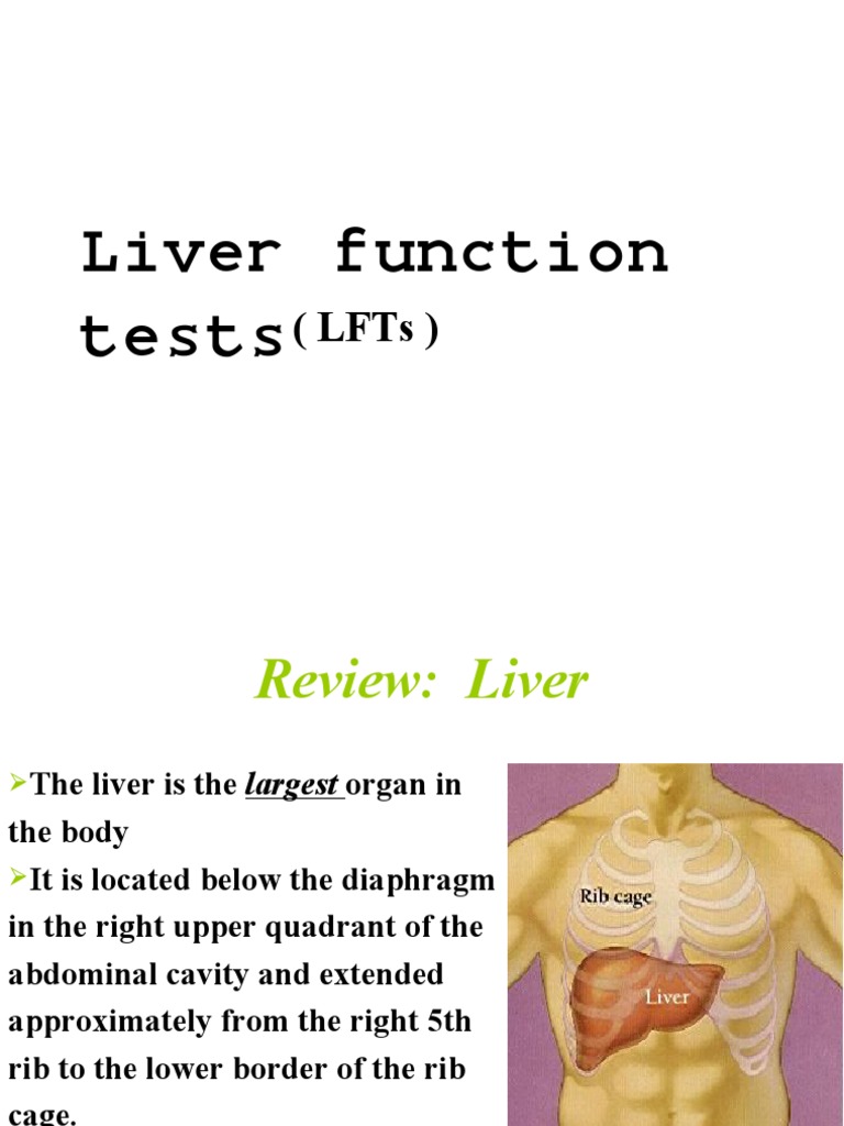 Liver Function Tests: (LFTS) | PDF | Alanine Transaminase | Liver