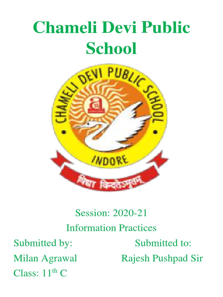 Chameli Devi Public School | PDF | Career & Growth | Business