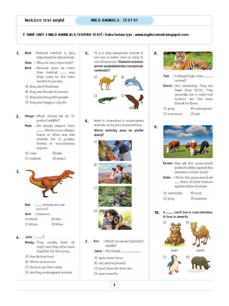 7th Grade Wild Animals Test | PDF