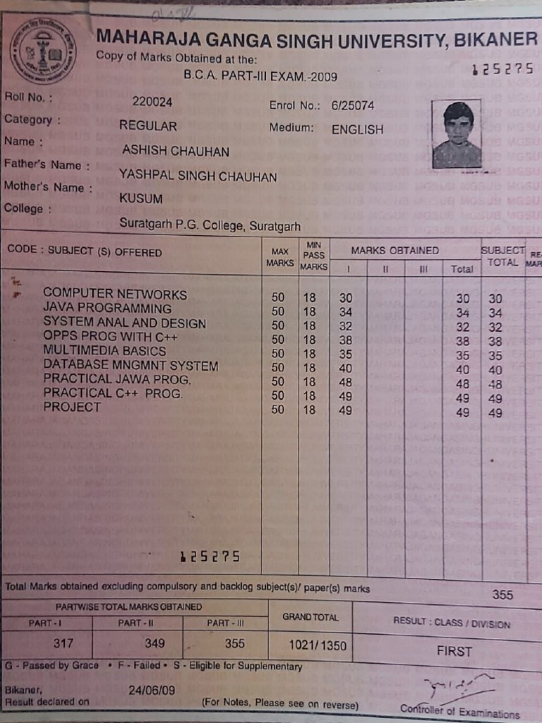 BCA Marksheets | PDF