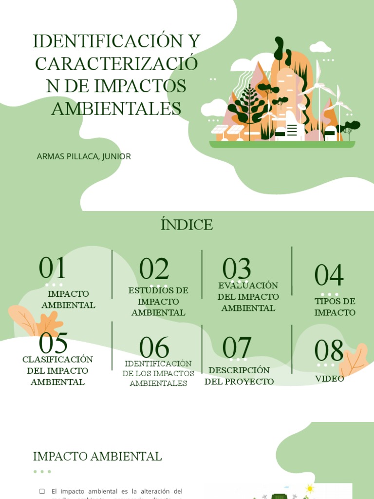 Identificación y Caracterización de Impactos Ambientales | PDF ...