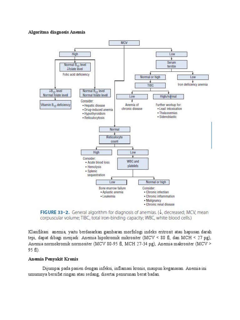 Algoritma Diagnosis Anemia Penyakit Kronis | PDF