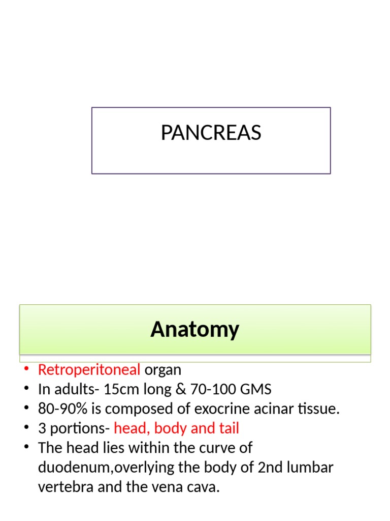 PANCREAS | PDF | Pancreas | Digestive Diseases