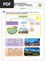 Cadena Alimenticia - Productores, Consumidores y Descomponedores PDF ...