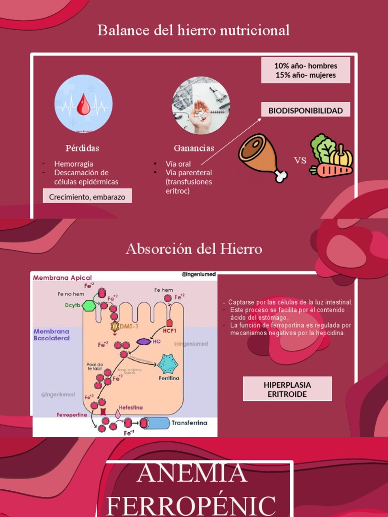 Anemia Ferropenica | PDF | Bioquímica | Química
