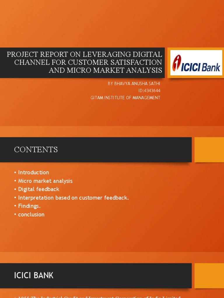 Leveraging Digital Channels for Customer Satisfaction: A Micro-Market ...