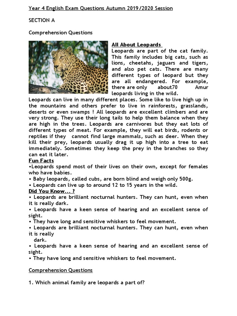 1st Term Year 4 English Exam Sen | PDF | Leopard | Cats