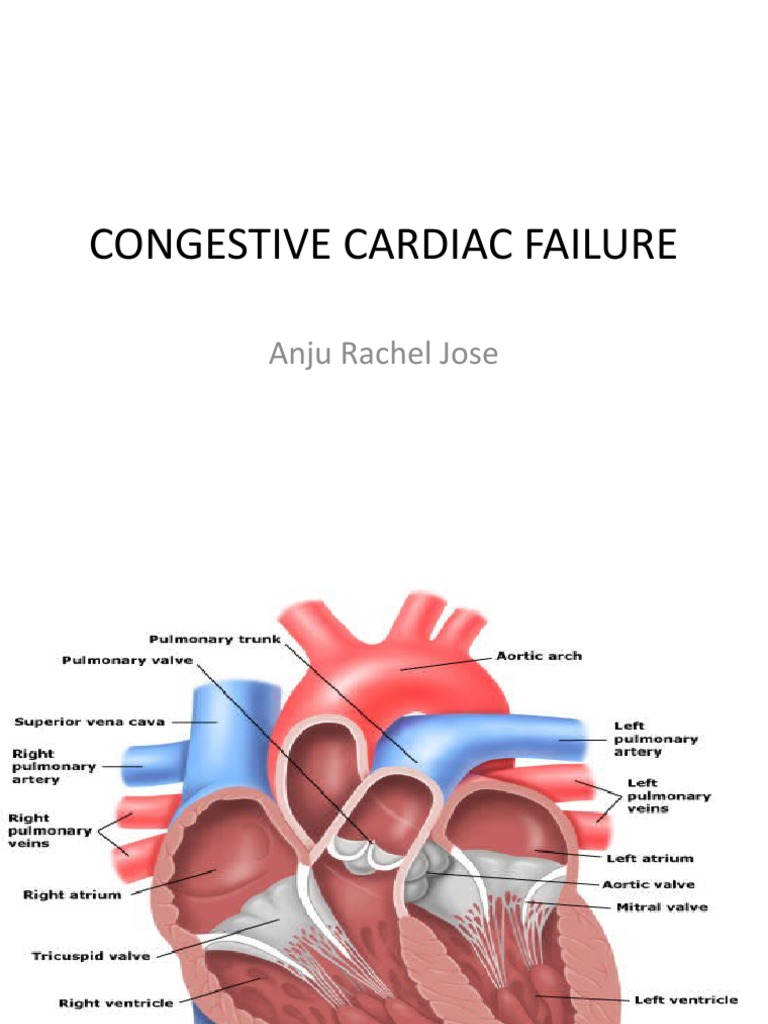 Understanding Congestive Heart Failure | PDF | Heart Failure | Ejection ...