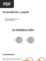 Anatomía Del Seno Camerular | PDF | Glaucoma | Visión