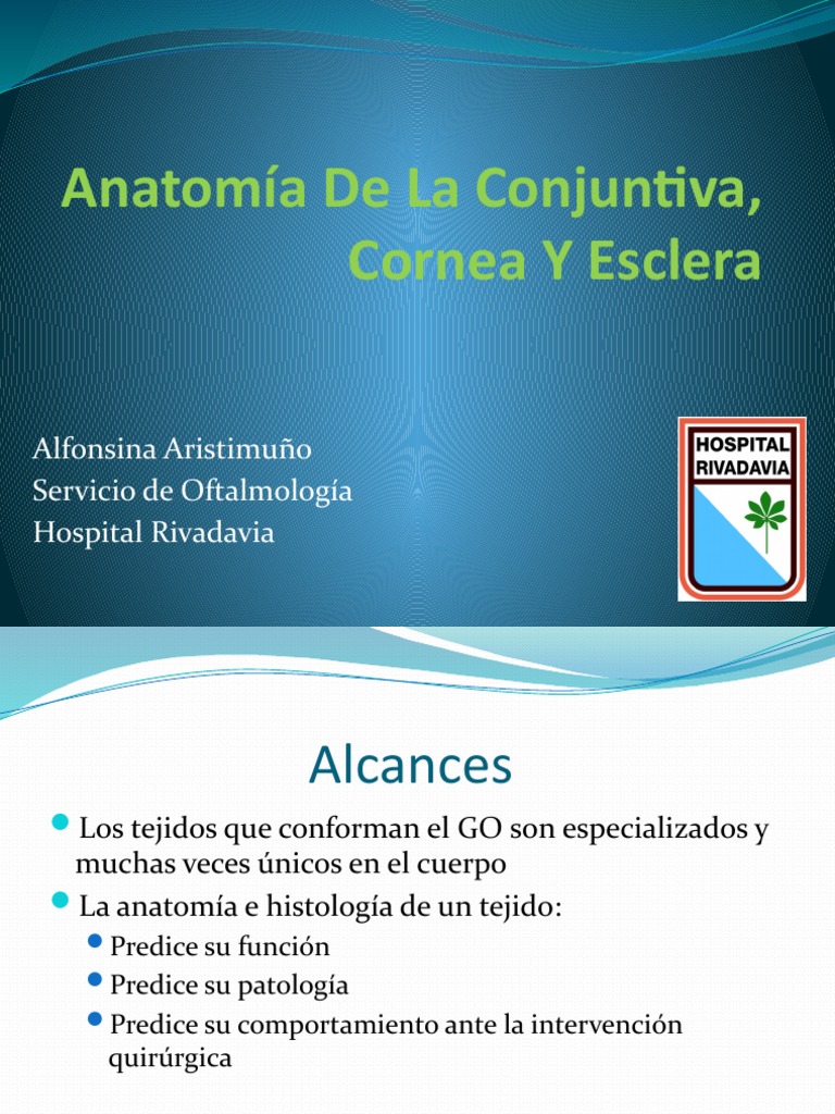 Anatomia de La Conjuntiva, Cornea Y Esclera (Alfon) | PDF | Córnea | Epitelio