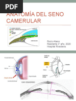 Cápsula de Tenon: Anatomía y Tenonitis | PDF | Ojo humano | Ojo