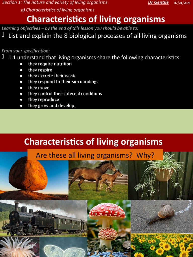 CG - Y9 - 01 Characteristics of Living Things N | PDF | Homeostasis ...