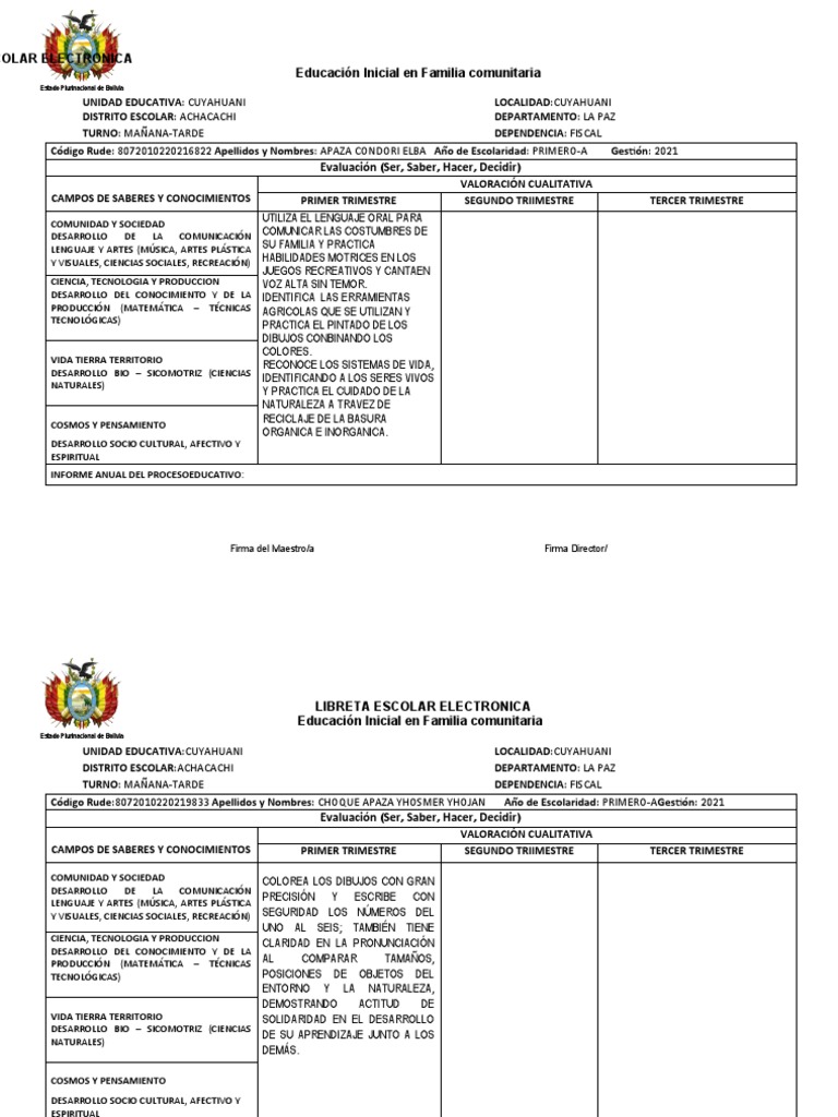 Libreta 1ra y 2da Seccion | Descargar gratis PDF | Educación de la primera infancia | Bolivia