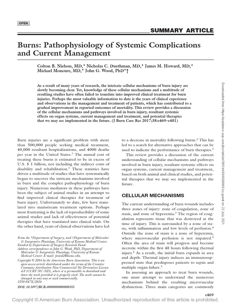 Burns: Pathophysiology of Systemic Complications and Current Management ...