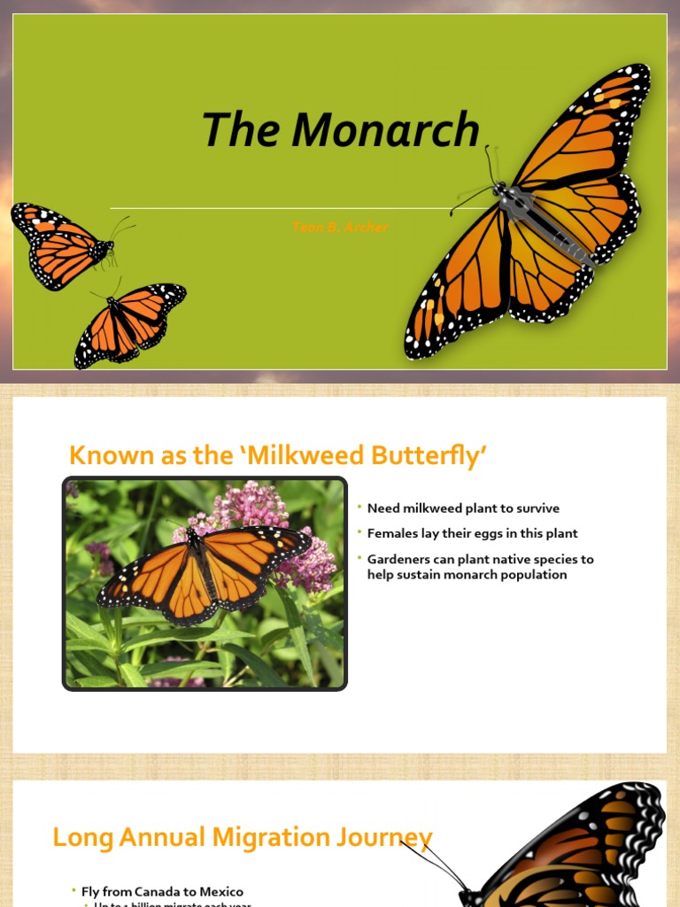 Extend 2-1 Monarch Migration | PDF | Home & Garden