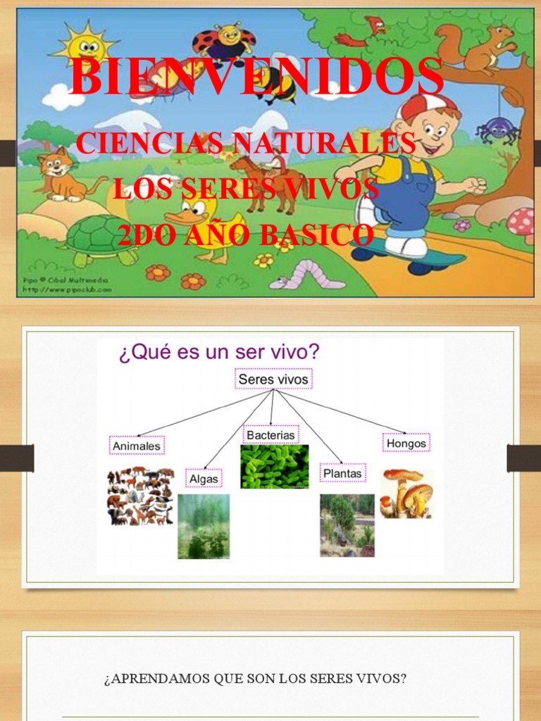 Introducción a los seres vivos: sus características y la importancia de ...