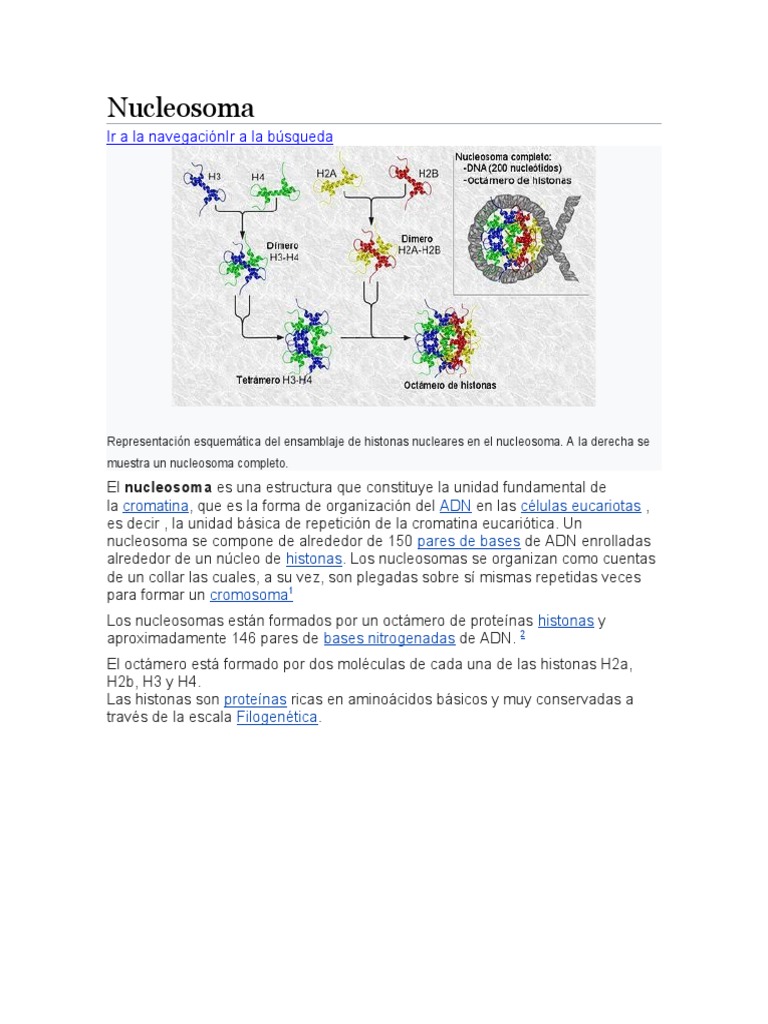 Estructura y función del nucleosoma | PDF | Histona | Procesos celulares
