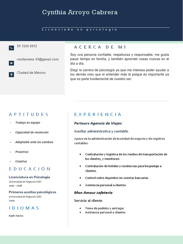 CV Cynthia Arroyo | PDF