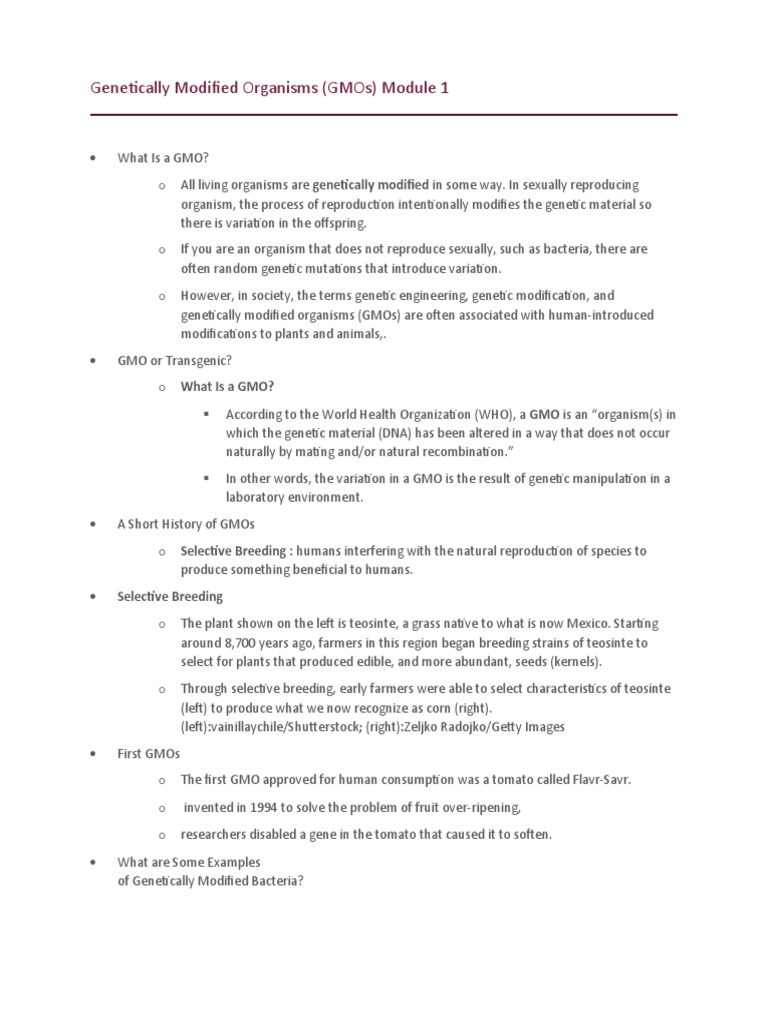 Genetically Modified Organisms (Gmos) Module 1: Selective Breeding ...