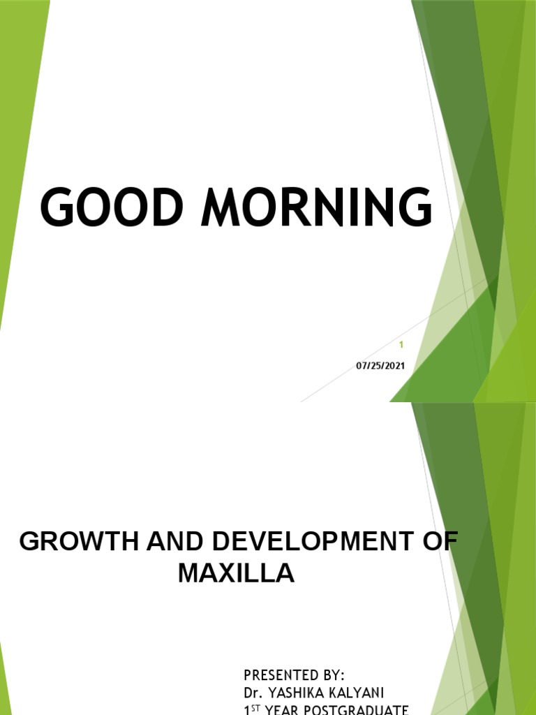 Growth and Development of Maxilla Updated (Seminar 1) | PDF | Bone | Skull
