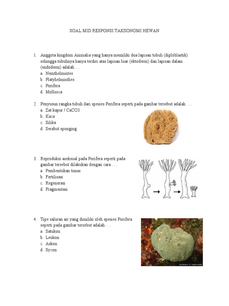Takso Hewan Soal Pilhan Mid | PDF