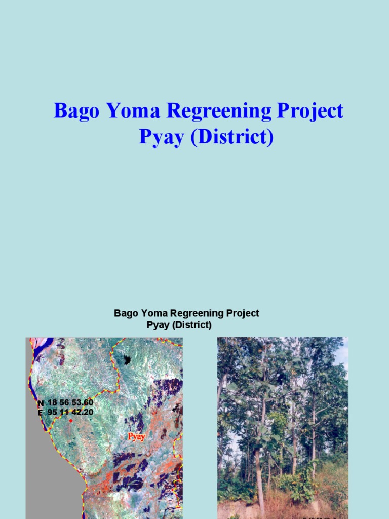 Bago Yoma Regreening Project - Bago Presentation (Pyay) | PDF ...