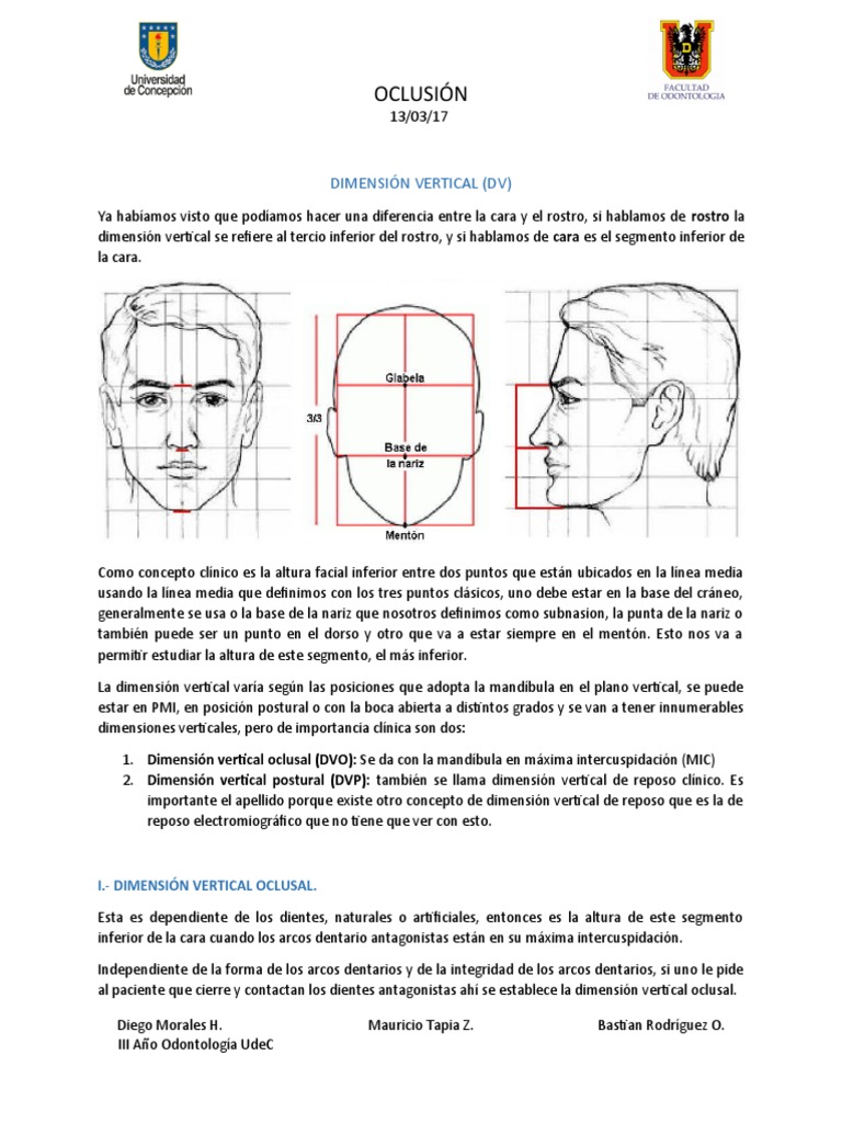 Clase 2-13-03 Dimensión Vertical | PDF | Naturaleza | Science