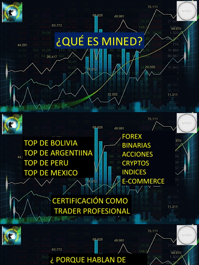Presentacion Mined | PDF